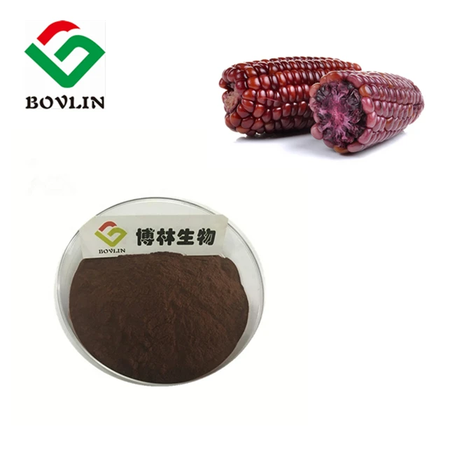 Purple Corn Extract Powder - 25% Anthocyanins BH-0022053102
