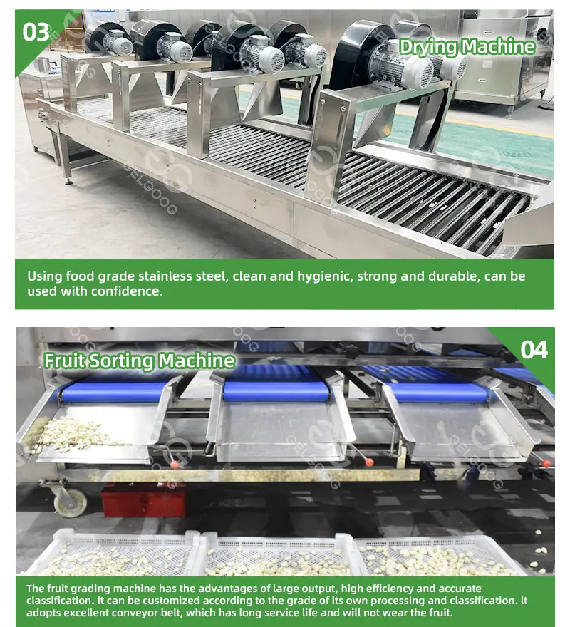 Gelgoog Fruit Grading Sorter Washing Sorting Machine Apple Cleaning and ...