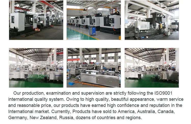 Dpb-420 Syringe/needles/injector Blister Packaging Machine - Buy ...