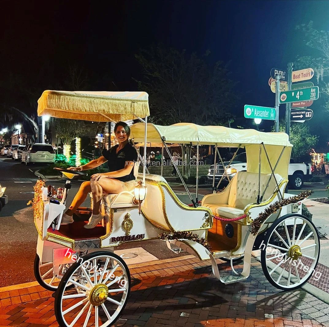 Wonderful Wedding Carriage/Sightseeing Horse Carriage with Canopy ...
