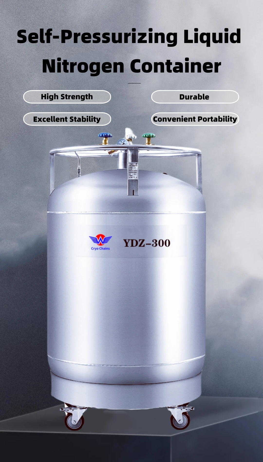 500L Stainless Steel Tank for Liquid Nitrogen Pressure Vessel