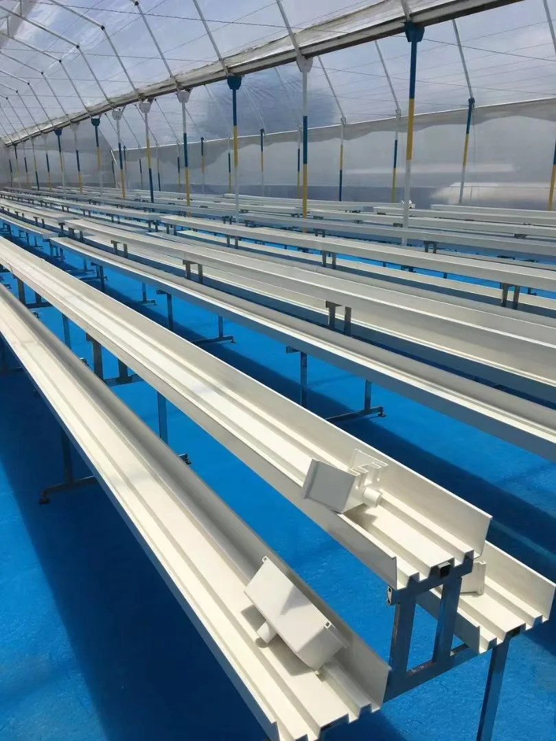 Strawberry Grow Gutter Plastic Hydroponic System for Greenhouse