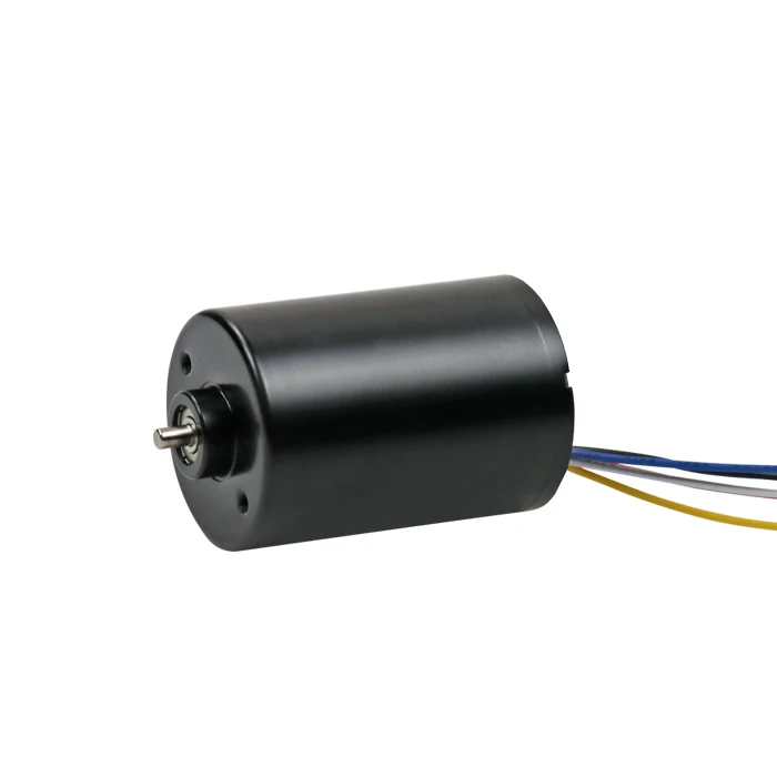 Custom Parameter 4266 Bldc High Speed Dc Brushless Motor 24v Pump Water ...