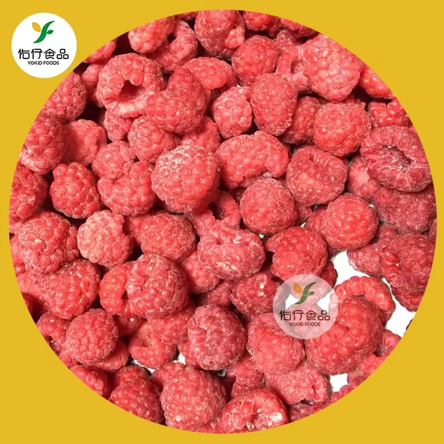 Company Overview - Qingdao Yokid Foods Co., Ltd.