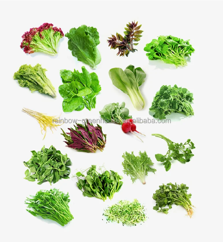 Hydroponic Shipping Container Farm Hydroponics System Vertical - Buy ...