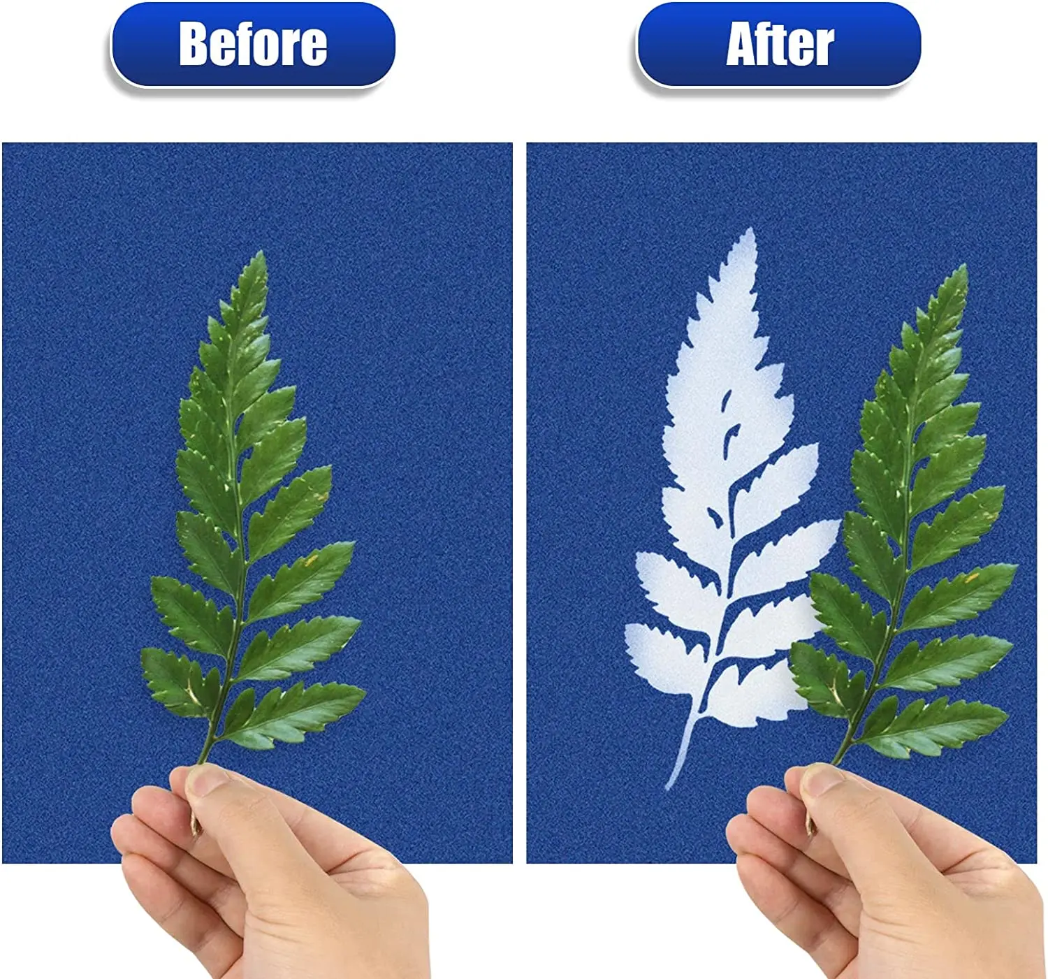 A4 Drawing Sun Print Paper Kit Cyanotype Paper Diy Drawing For Children ...