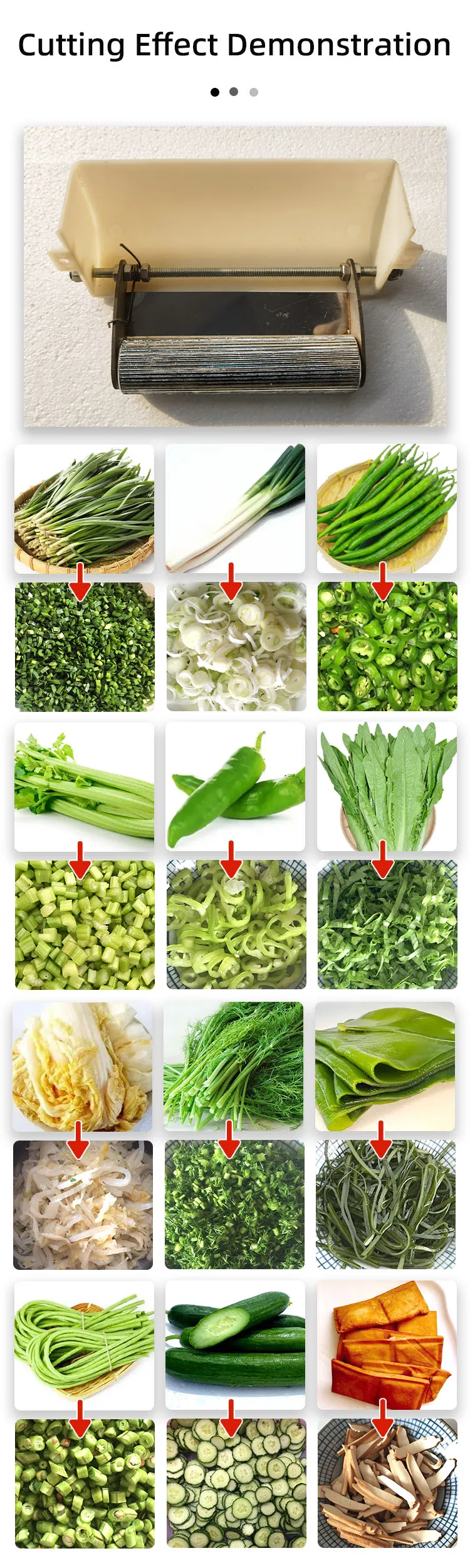 CB200 Allium Salad Coleslaw Leafy Greens Cutter-Vegetable Slicer ...