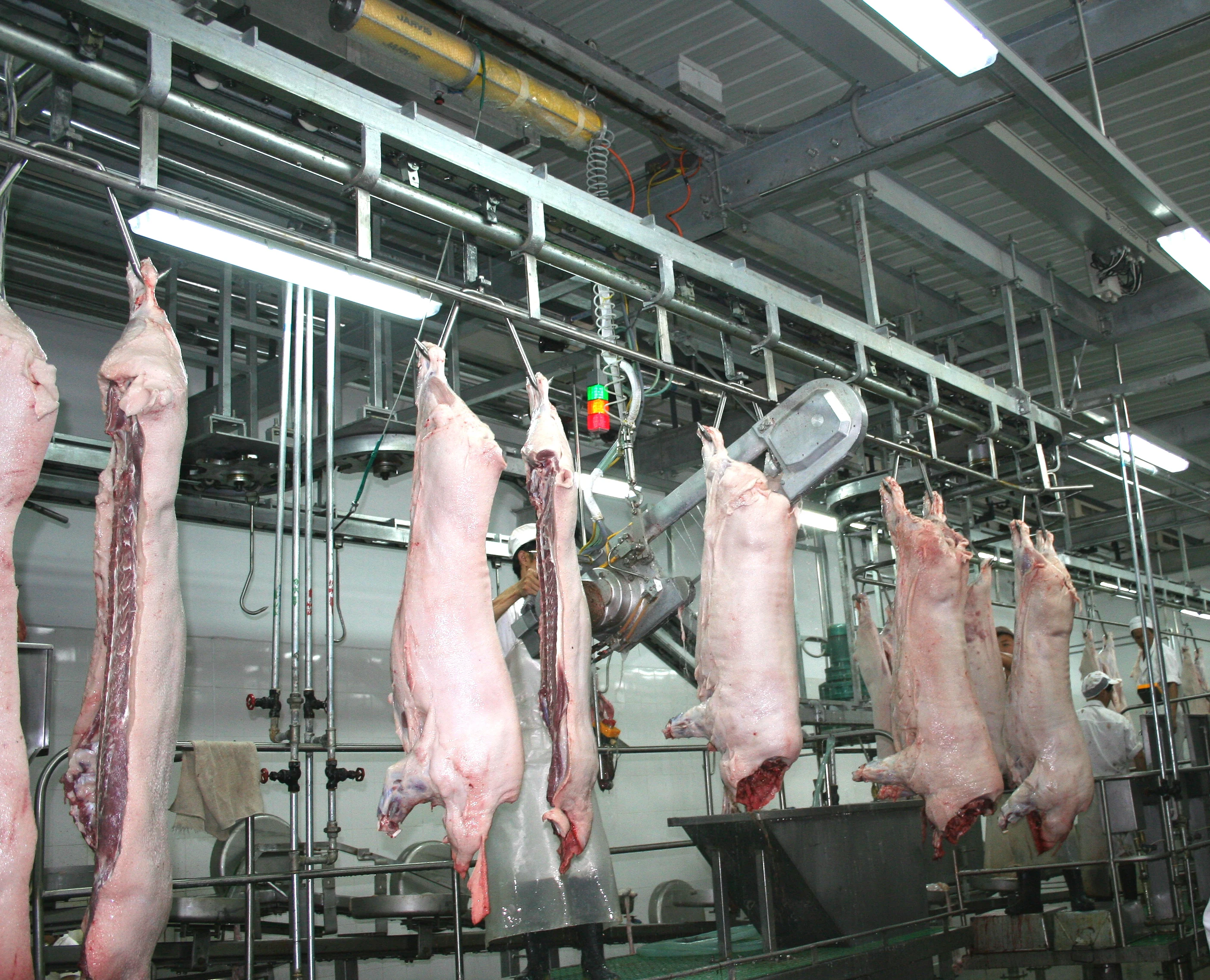 Cow Abattoir Equipment Half Beef Carcass Splitting Saw For Cattle ...