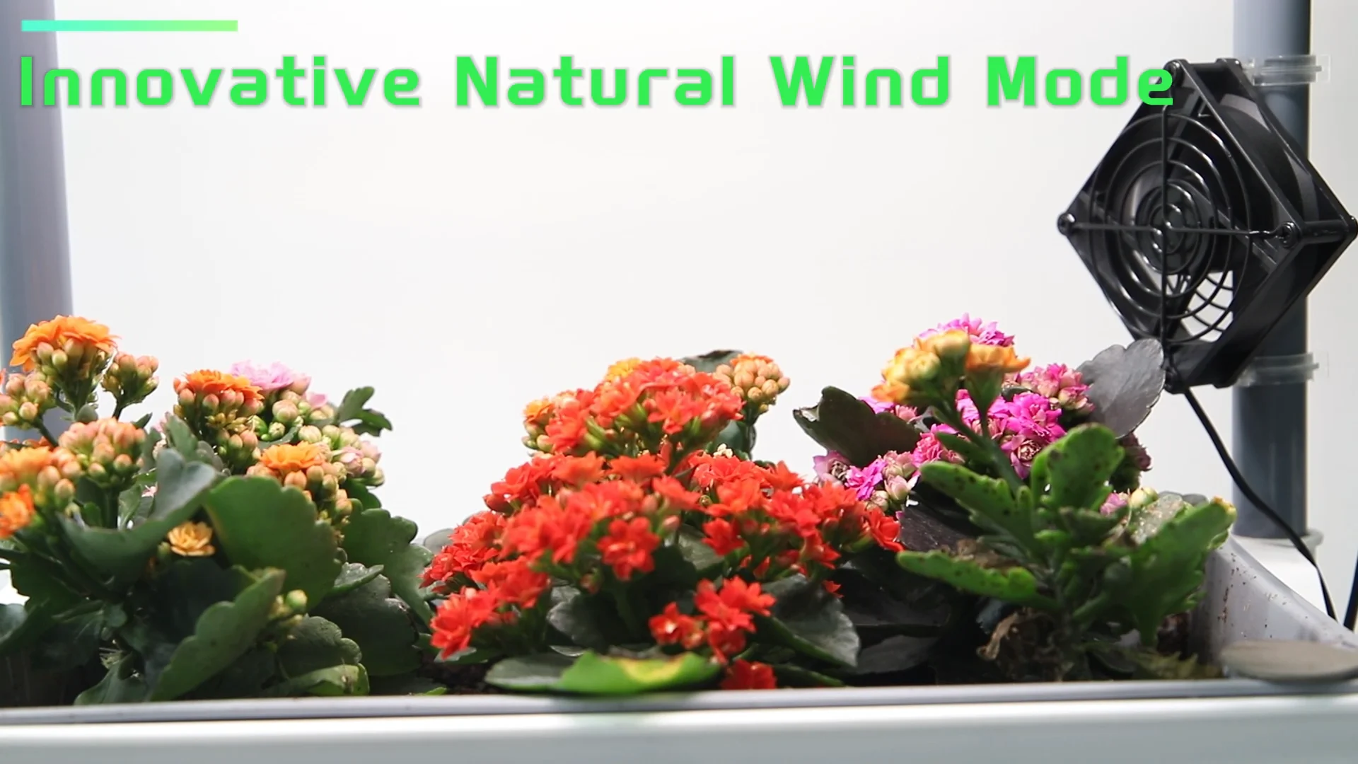 Usb Rechargeable Grow Tent Clip Fan Portable Auto Oscillating Fan For ...