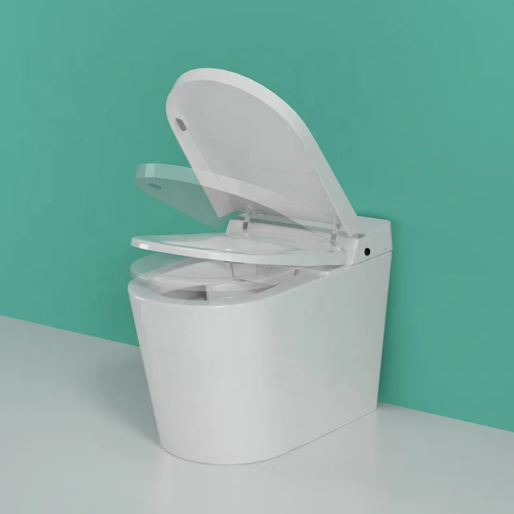 Cyclone Flushing Smart Toilet One Piece Dual-Flush Concealed Tank ...
