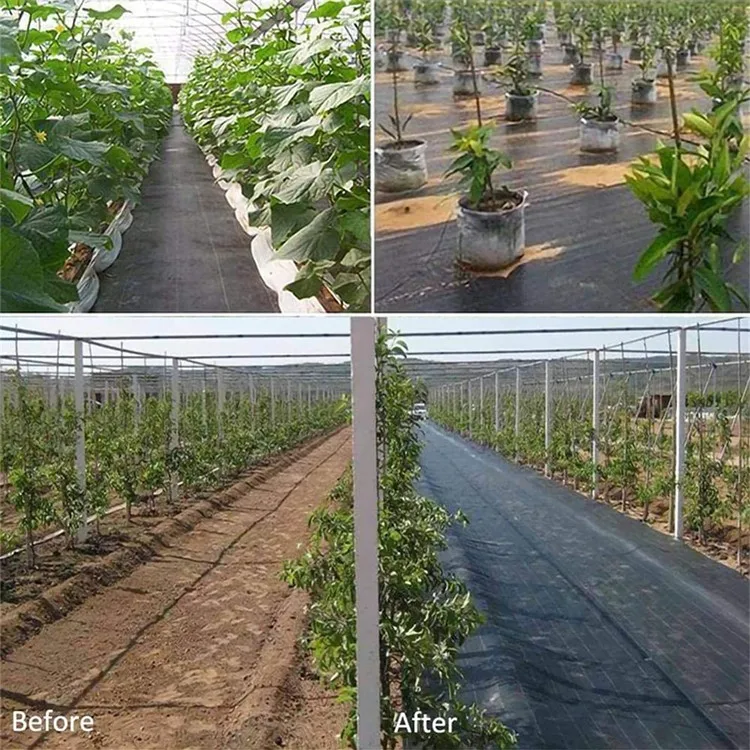 Weed Mat Ground Cover Weed Mat Ground Cover With Holes For Sales - Buy ...