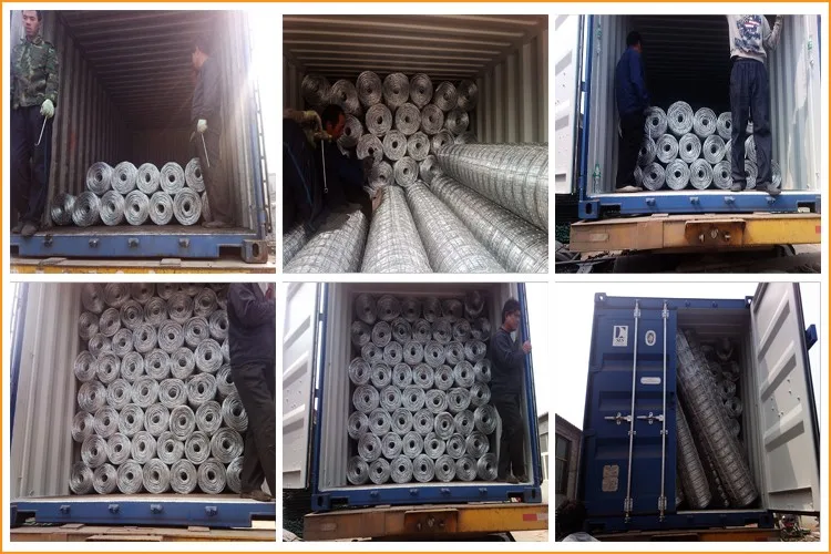 Durable Livestock Fencing - Rongtai 8ft Deer & Poultry Fence