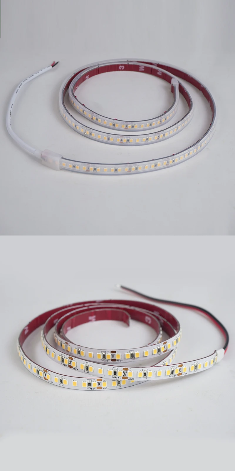 Led Strip Light Warm White 10mm Width Smd 2835 180leds/m 24v Led Light ...