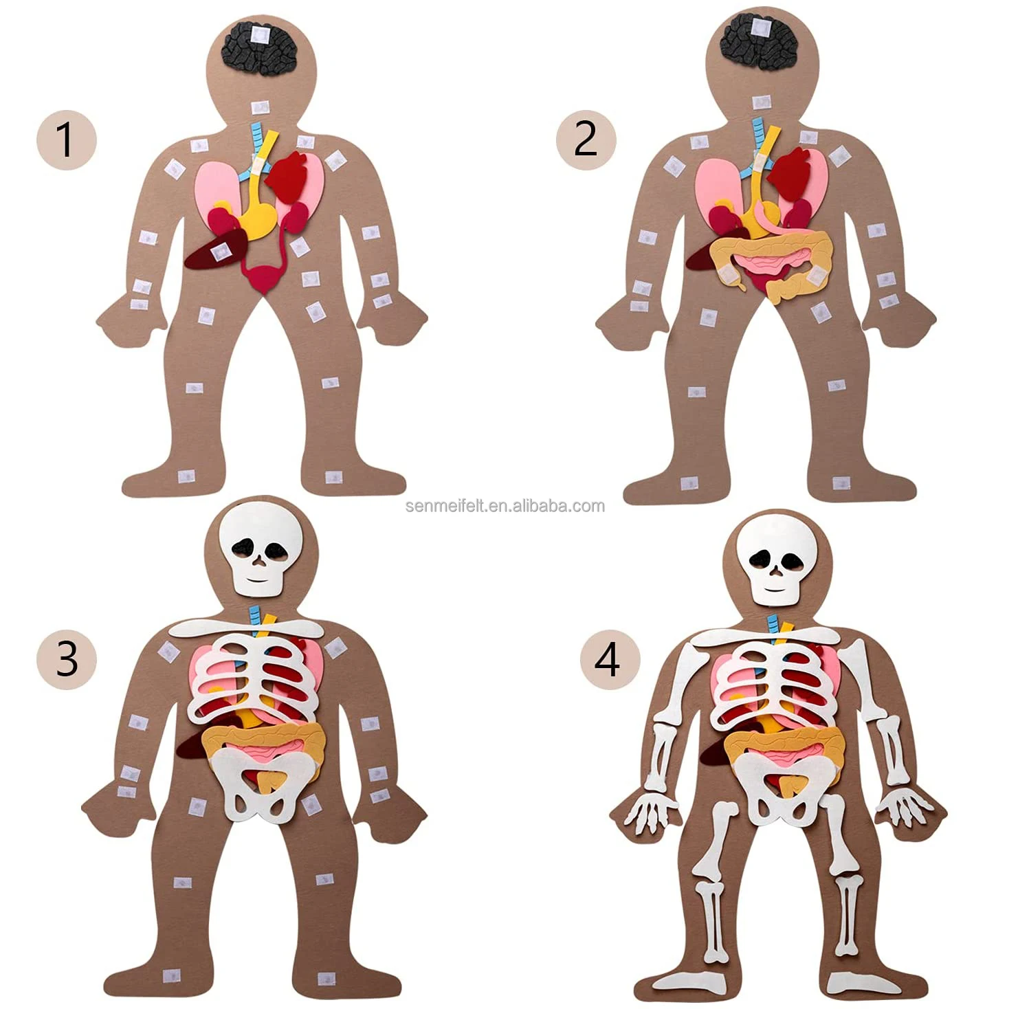 Human Body Felt Learning Educational Tools Felt Set Kids Human Body ...