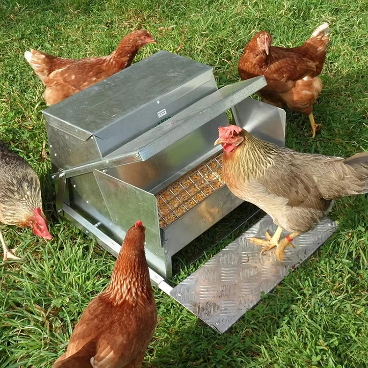 JH-Mech 25Kg Automatic Chicken Feeder Galvanized Poultry Feeder With ...