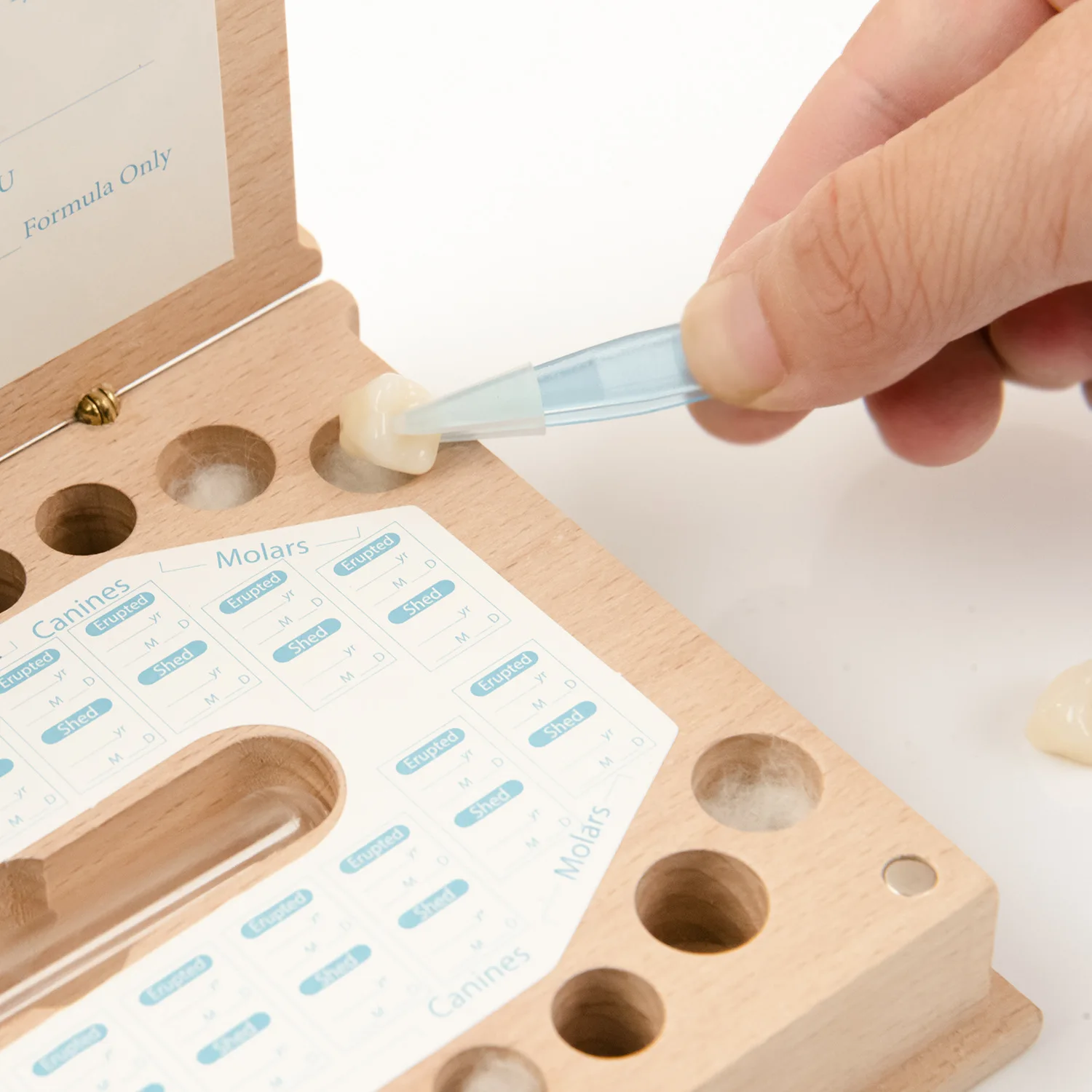 Custom Wooden Keepsake Baby Tooth Holder Teeth Saver Baby Tooth Box ...