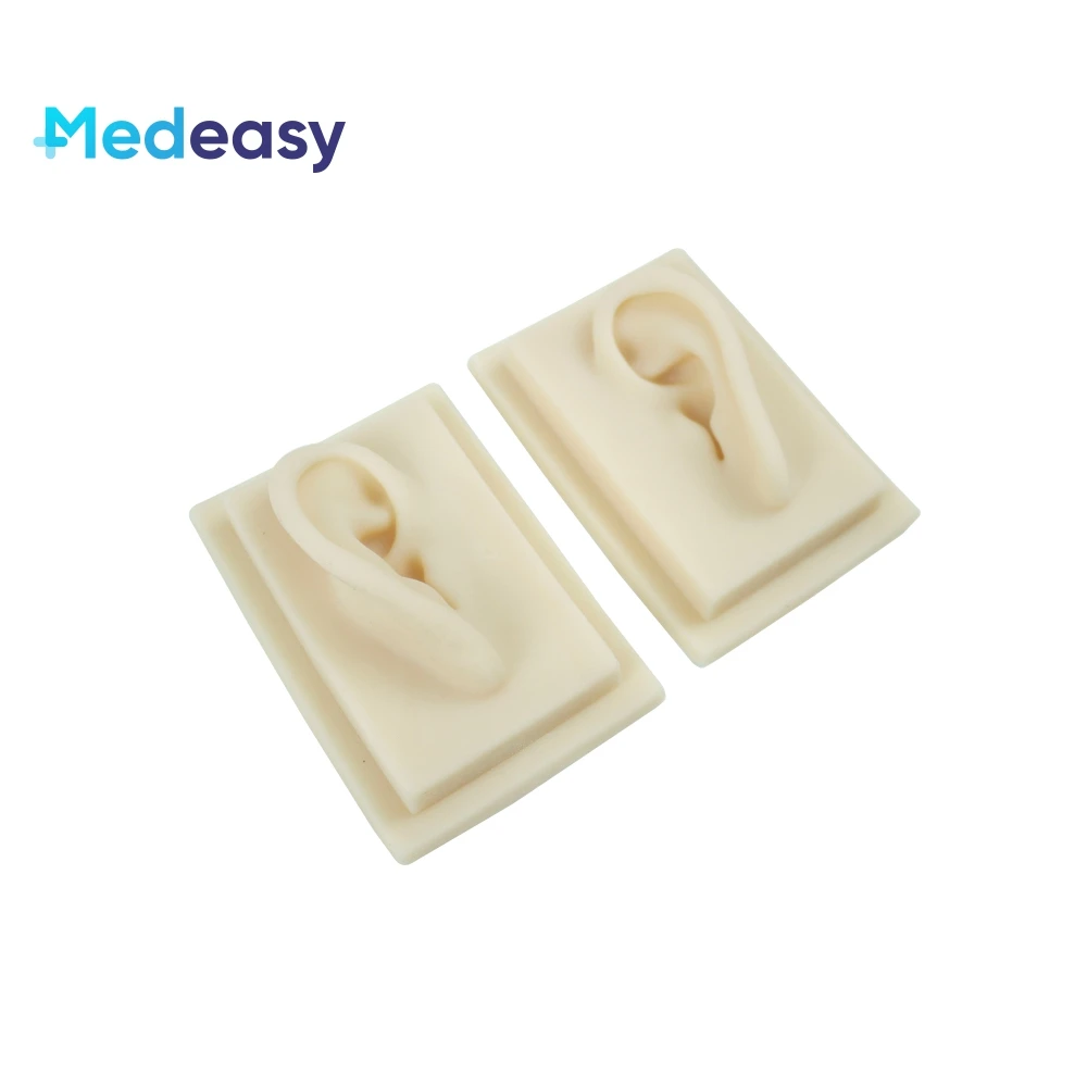Silicone Ear Model - True to Life Hearing Aid Display Props