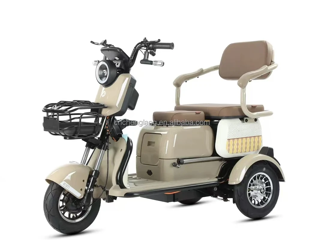 Passenger Electric Scooter/Elderly Trike Without Roof Stable ...