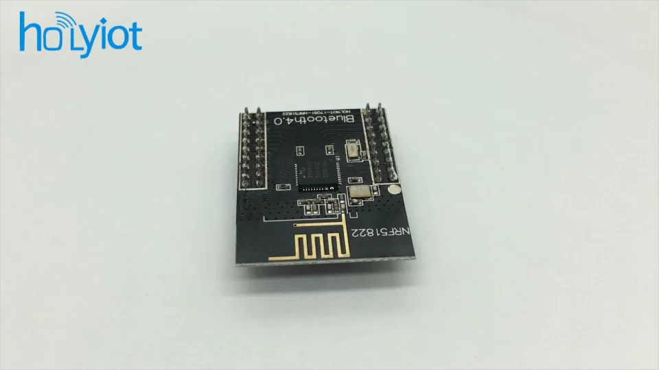 Holyiot High-speed Bluetooth Module For Quick And Reliable Data Transfer Nrf51822 Module - Buy ...