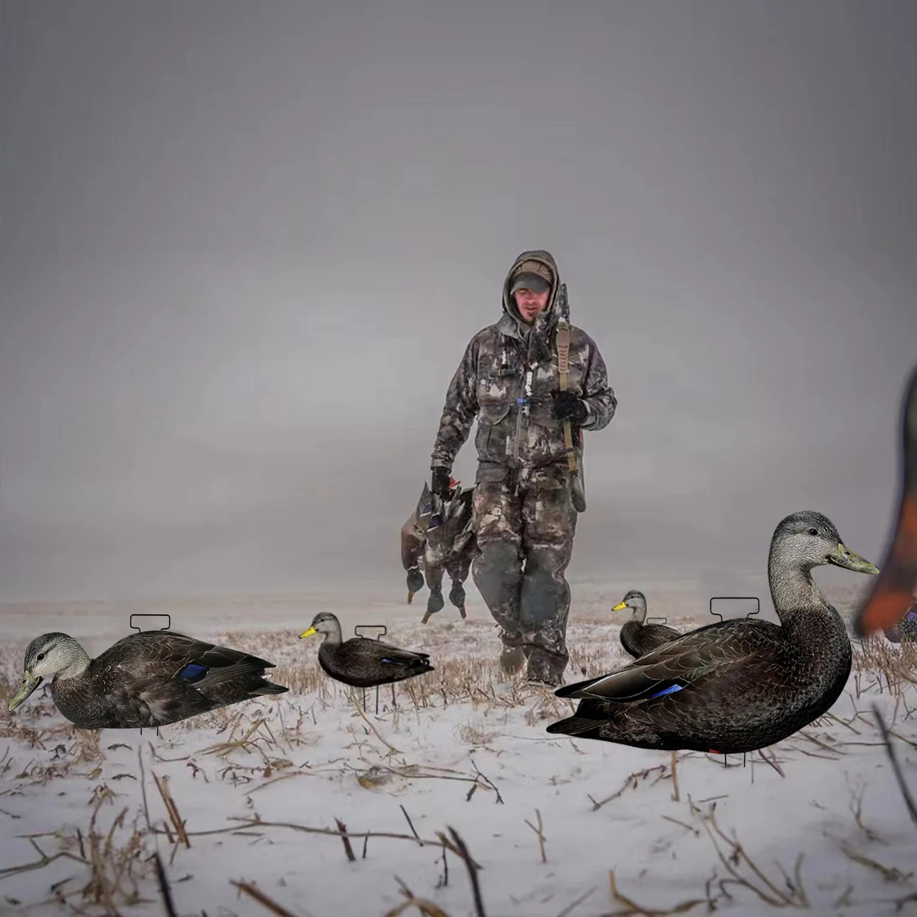 Customized Lifelike Waterproof Plastic Duck Decoys