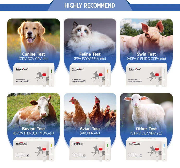 Animal Test Pcr Animal Disease Rapid Test Kit - Buy Animal Rapid Test ...