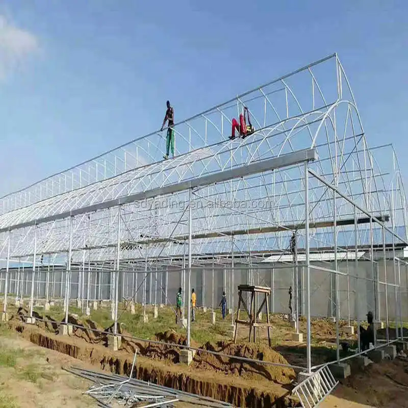 Agricultural Sawtooth Passive Solar Greenhouse - Buy Greenhouse green ...