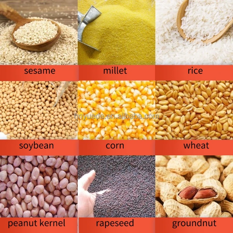 Grain Screening Machine - Efficient Paddy Seed Cleaner