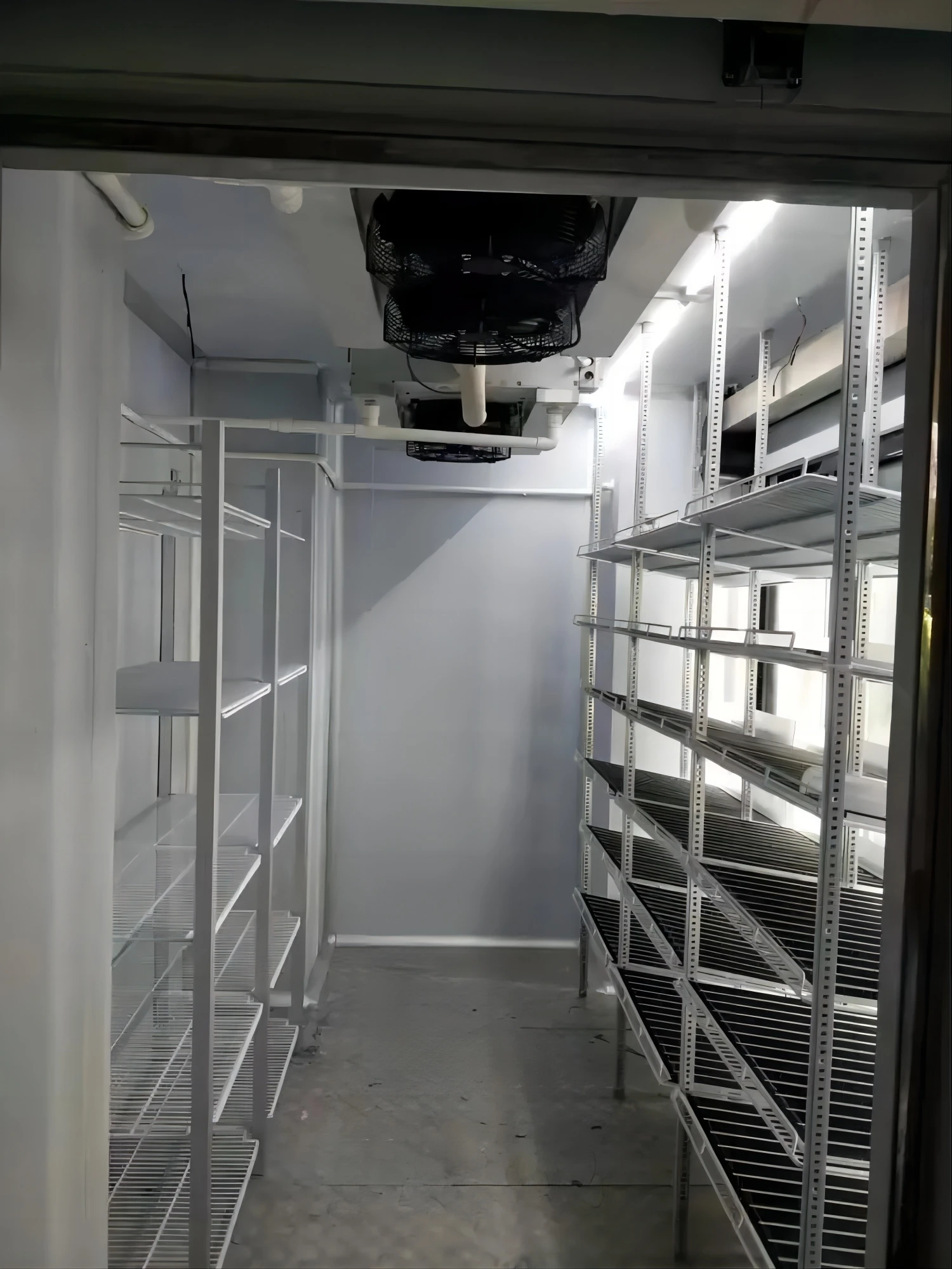 Supermarket Walk-in Freezer Cold Room Display Cooler with Glass Door ...