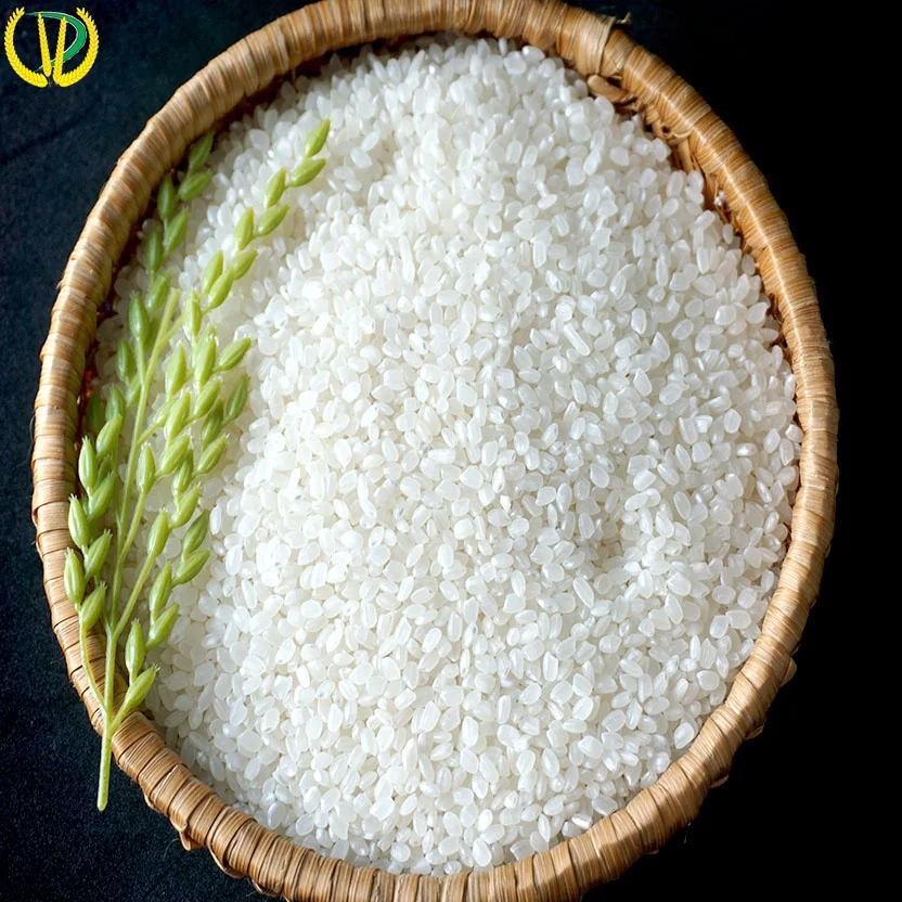 Round Rice Premium Quality Calrose Japonica Rice From Vietnam Camolino Rice Sushi Low Price Good ...