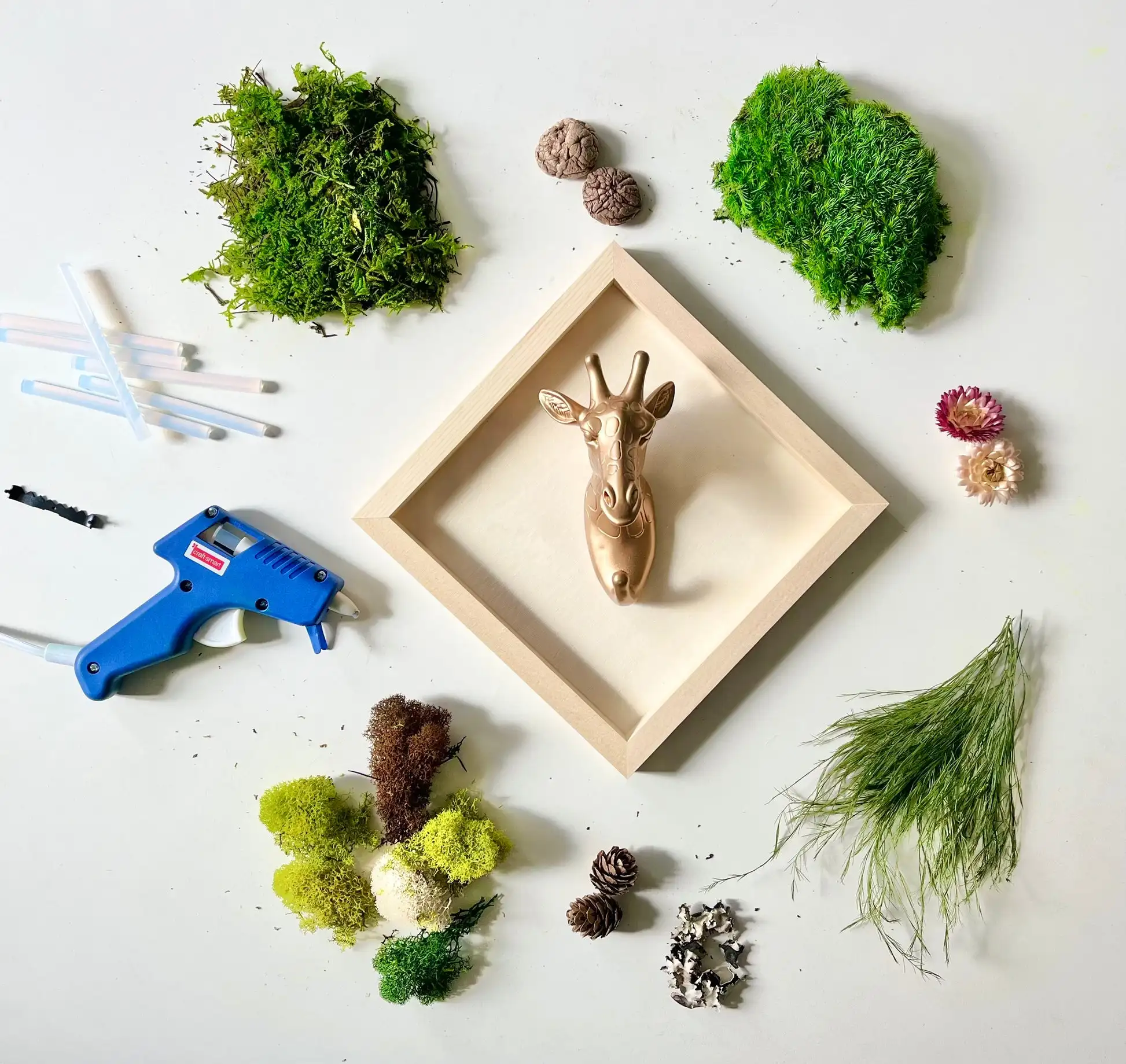 Diy Animal Moss Wall Art Kit Micro Landscape Wood Moss Crafts Kit For ...