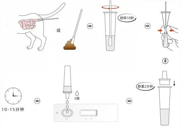 Canine Fecal Occult Blood (FOB) Rapid Test Kit for Dog Stool Samples