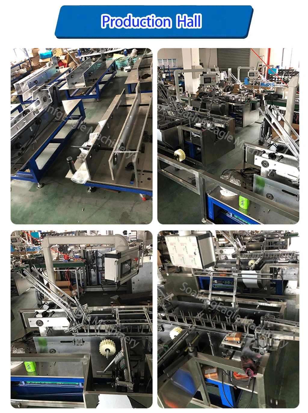 Automatic Easy Open Sachet Counting Carton Box Packing Machine