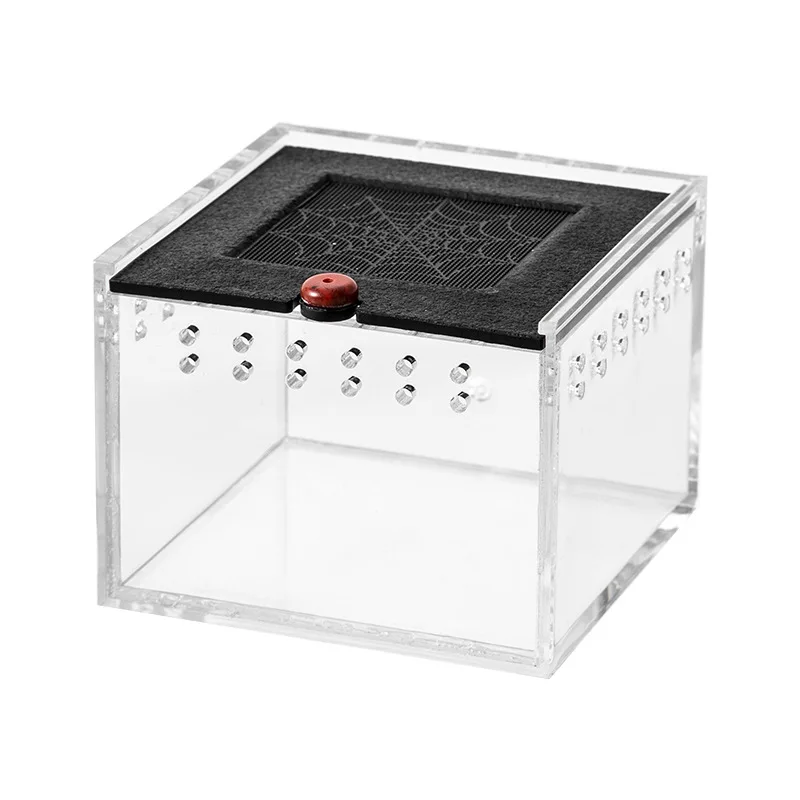 Acrylic Spider Box - Perfect Tank Insect Home for Reptiles