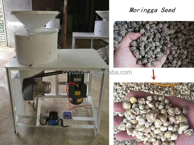 Industrial Moringa Seed Extractor Peeler Machine Moringa Processing ...