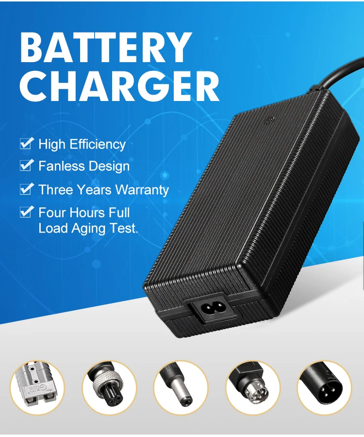 220V AC Electric Scooter Charger with Short Circuit Protection