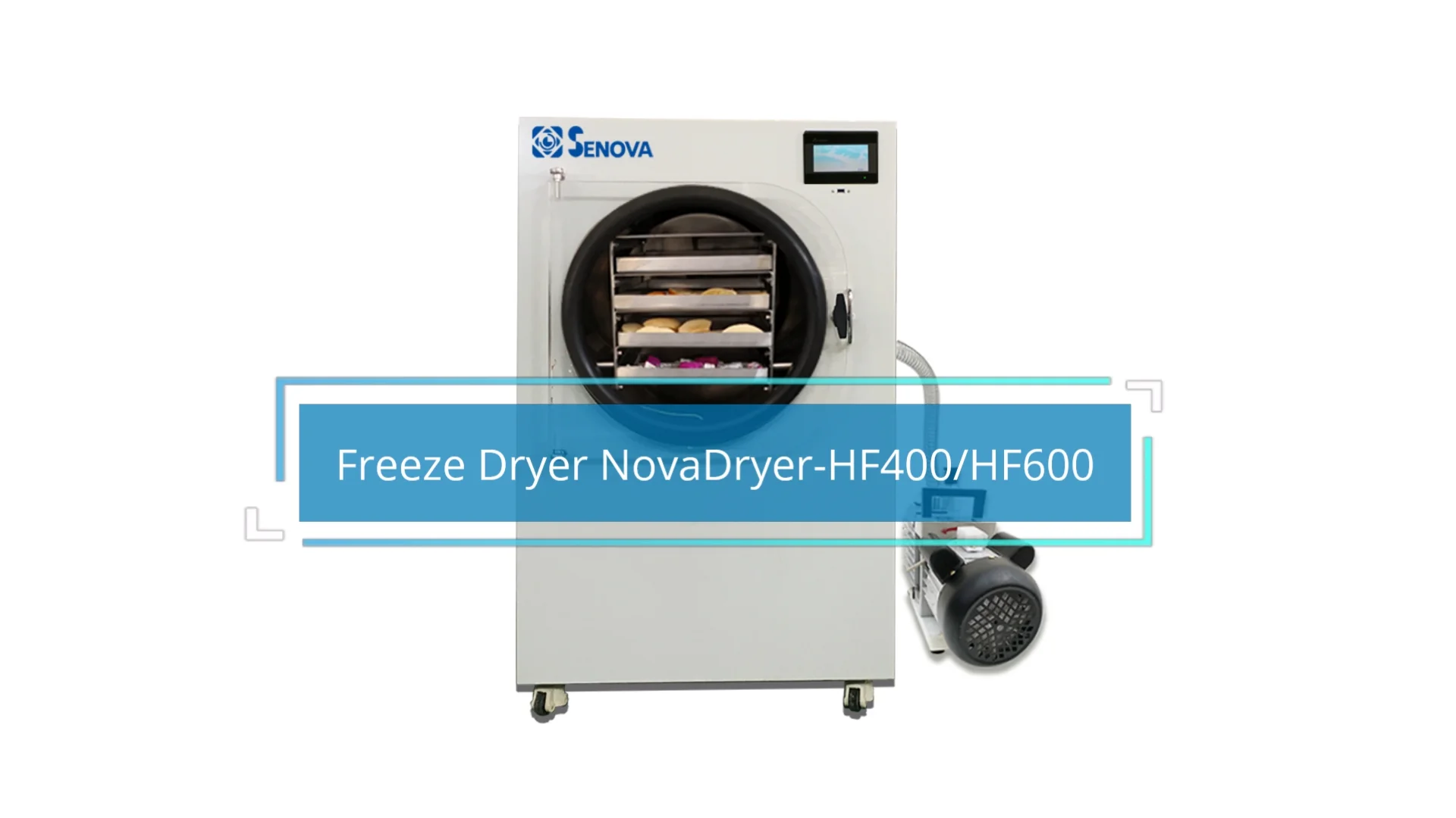 Freeze Dry Lyophilisation Drying Lyophilization Lyophilizer Machine For ...