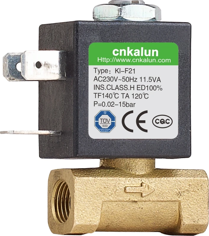 2 Ways High Pressure Solenoid Valve DC12V/24V AC110-240V
