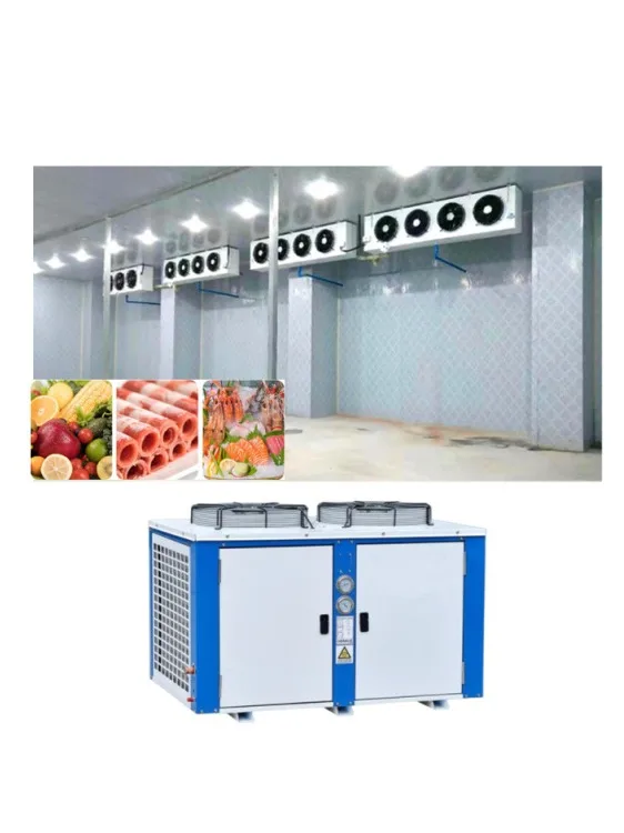 Refrigerator Unit Chiller Freezer Cold Storage Room For Mini Frozen ...
