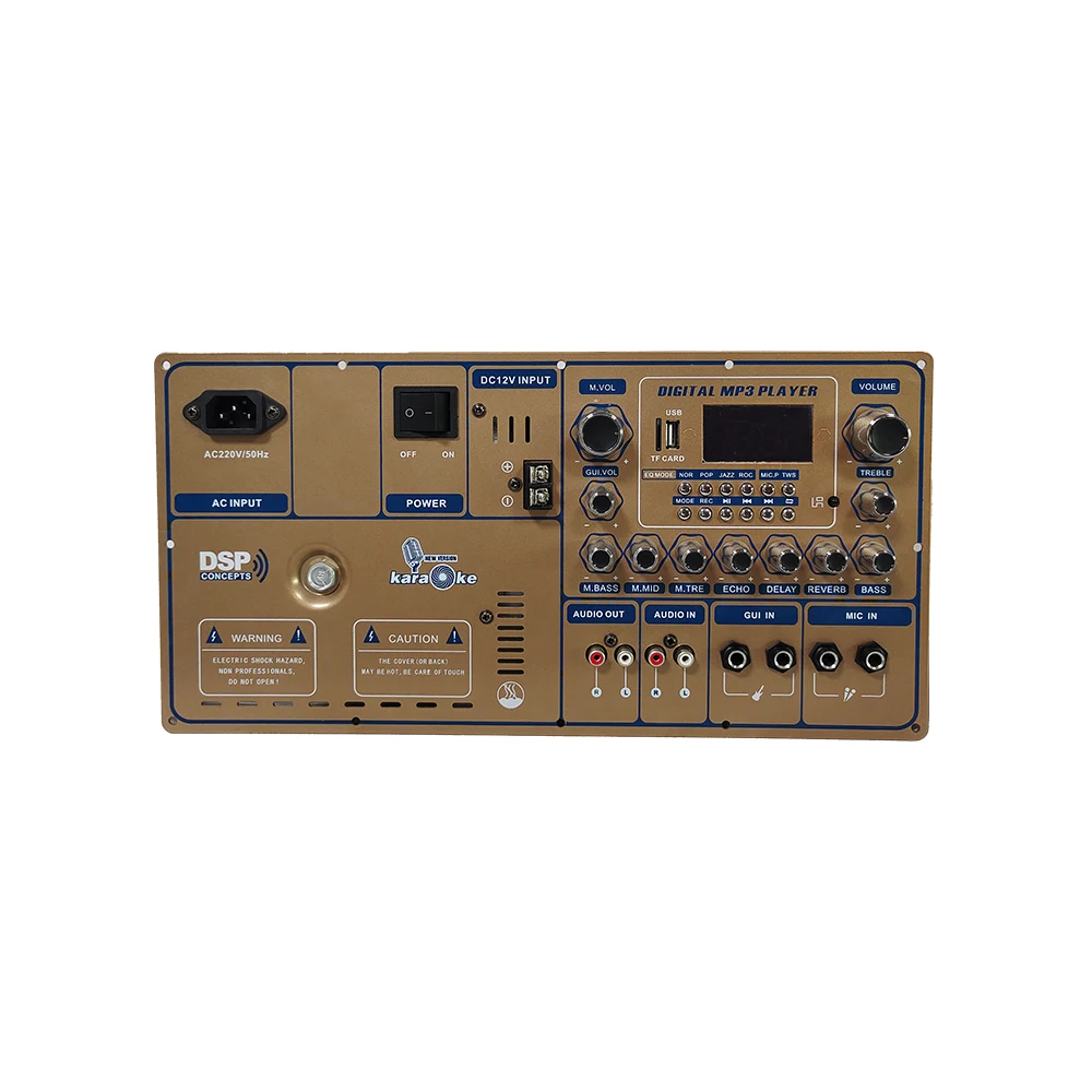 150W DSP Control Audio Power Amplifier Boards - 2 Channel Class D