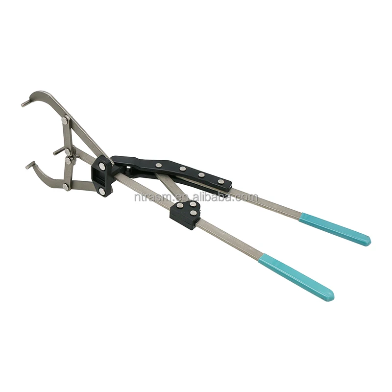 Castrazione Cavallo - Efficient Cattle Castration Tools