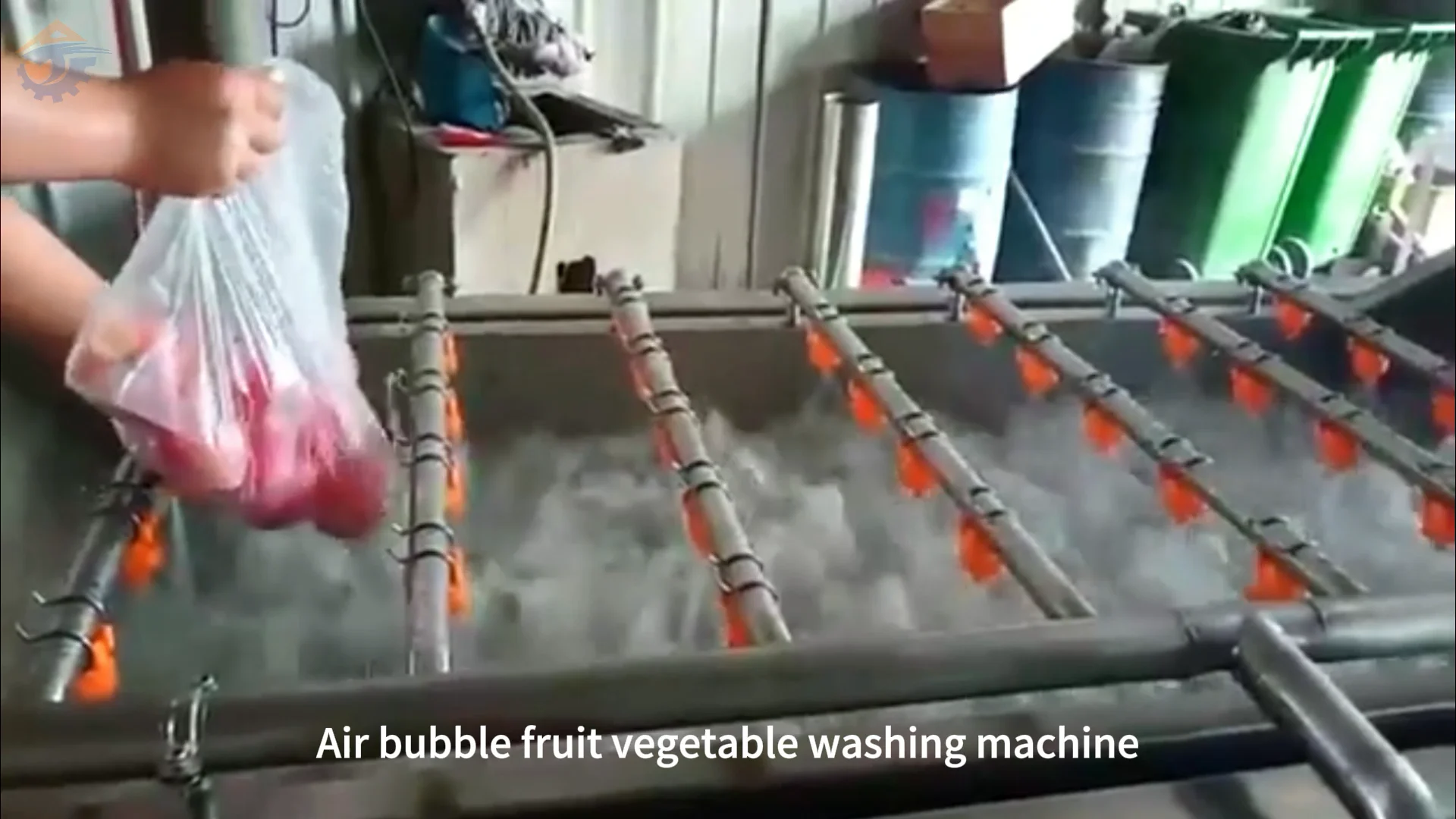 Industrial Fruits And Vegetable Washing Ozone Fruit Green Leaves Tomato Bubble Washing Machine ...