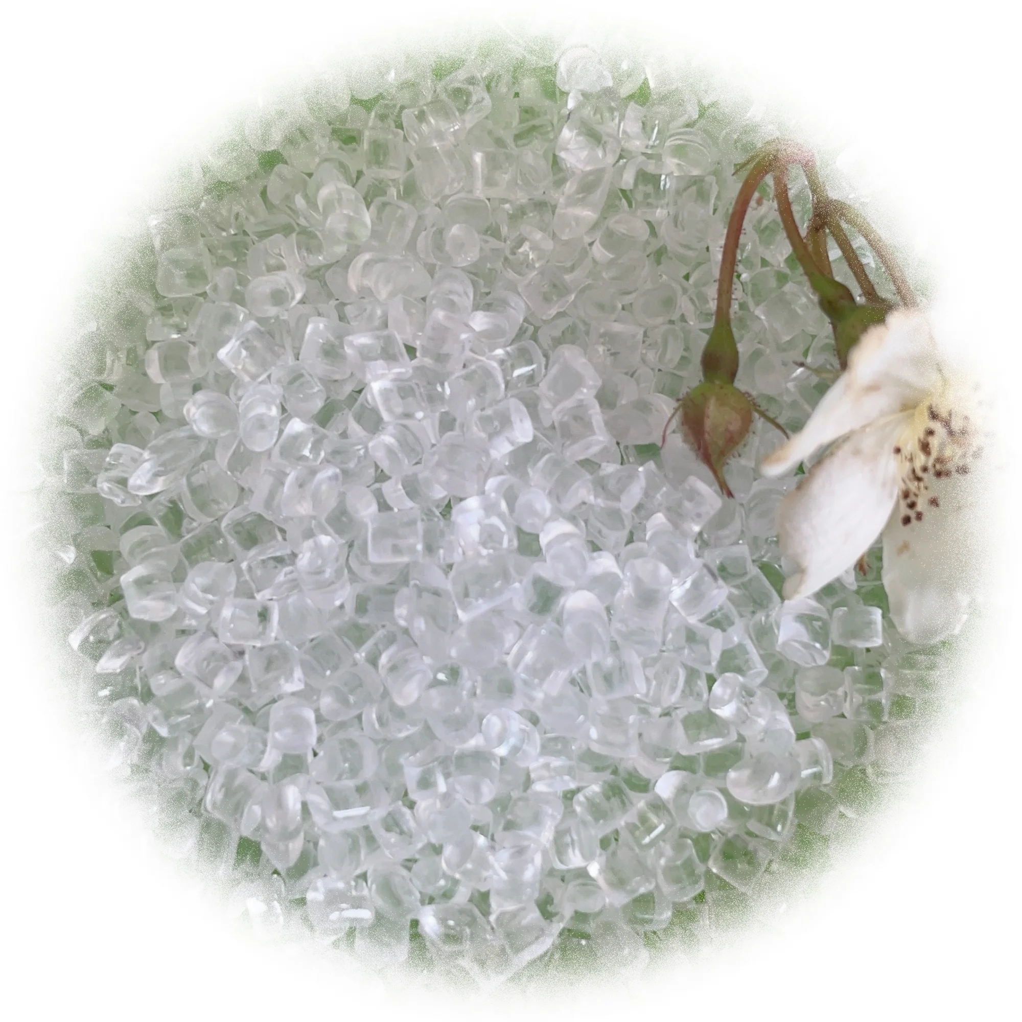 Polymethyl Methacrylate (pmma) Acrylic Sheet Scrap Regrind Recycled ...