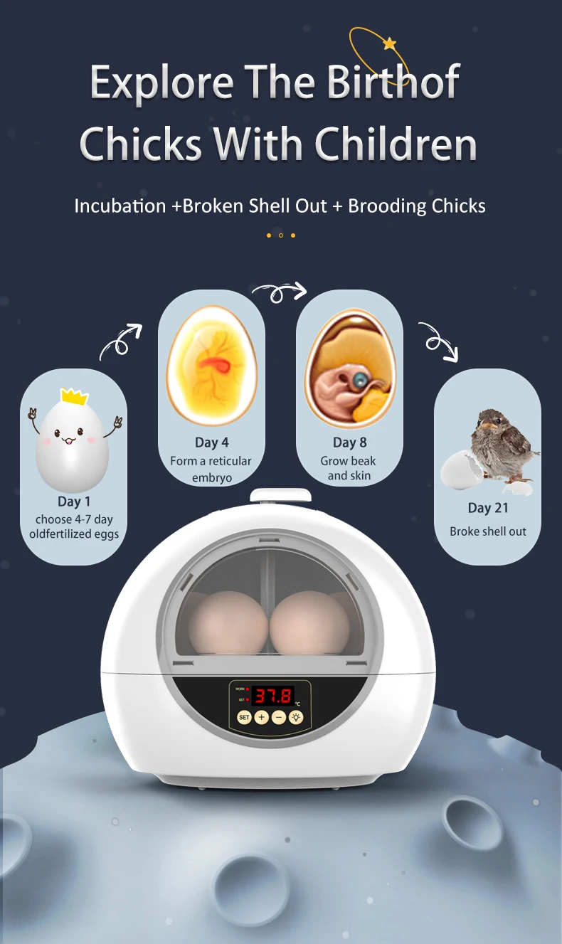 Small Size Mini Automatic Egg Incubator 6 12 18 Eggs Capacity Chicken ...