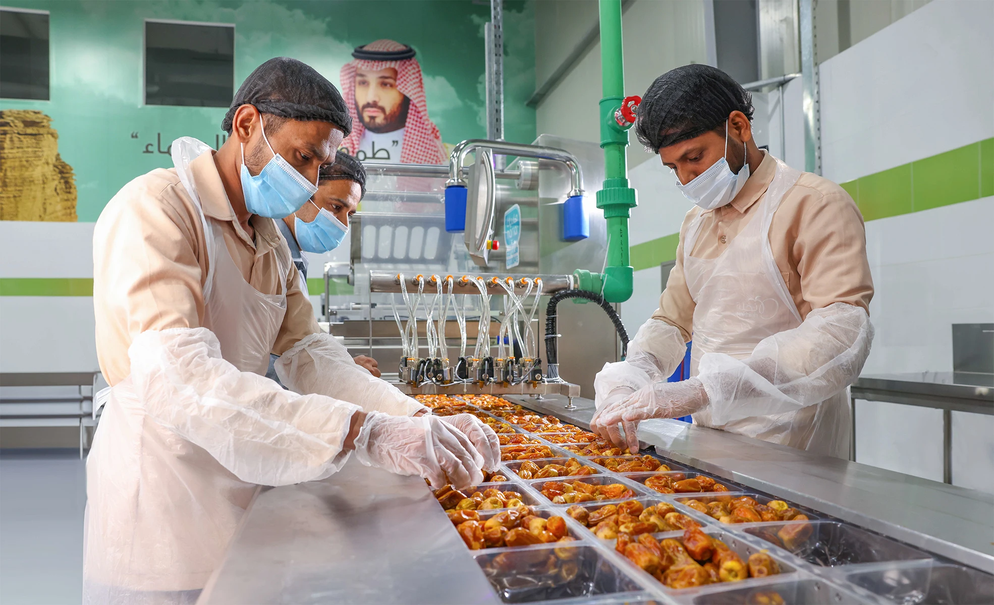 Premium Export Quality Saudi Arabia Safawi Dates At Lowest Price Safawi ...