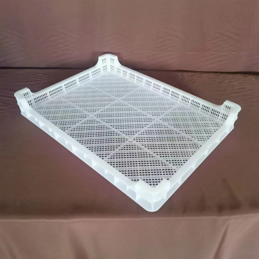 Plastic Drying Trays - Efficient Seafood Preservation