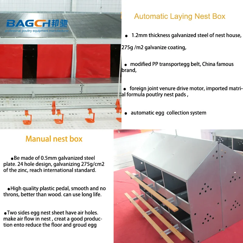 Automatic Breeder Chicken Farm House Ground Poultry Chain Feeding ...