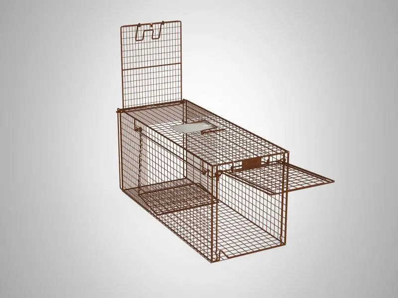Live Catch Cage Trap for Wild Boar, Pig, and Porcupine - Humane Live ...