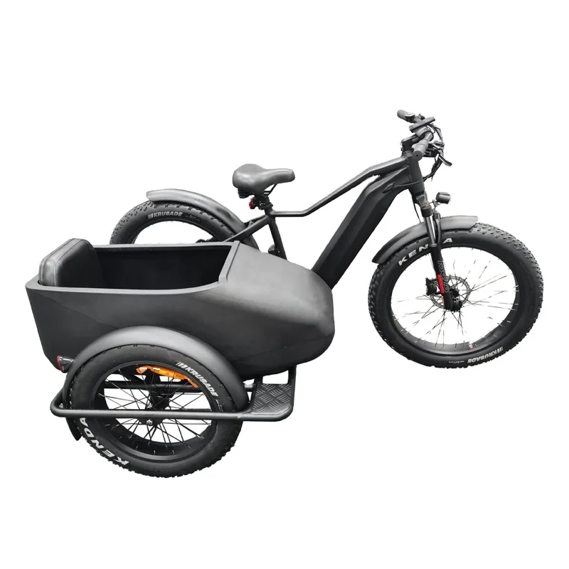 Side Car Fat Pedelec/250w Side E Bicycle/500w Sidecar Electric Bicycle ...