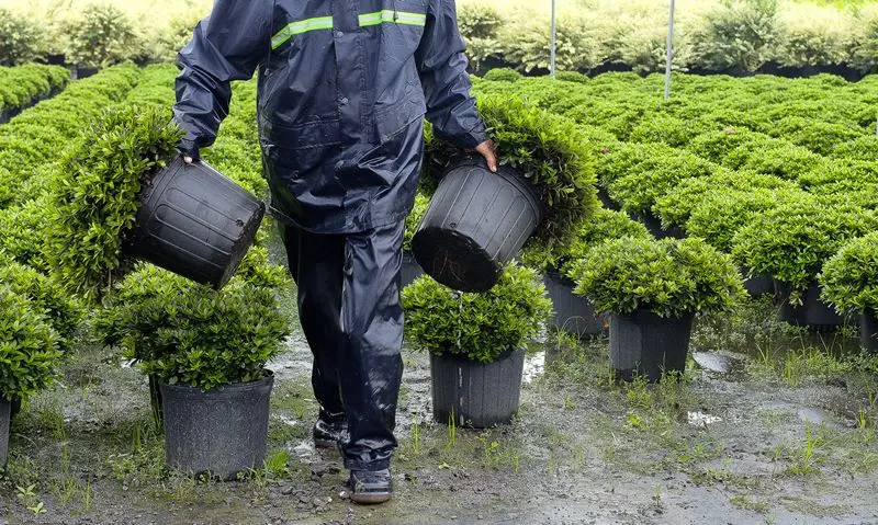 Yuncheng 25 Gallon Pot 105 Quart 100 Liter 22" Inch 57cm Blow Mold ...