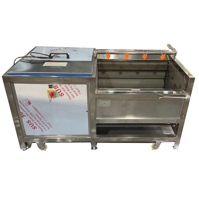 Fresh fruit mango apple cleaning machine air bubble vegetable washing ...